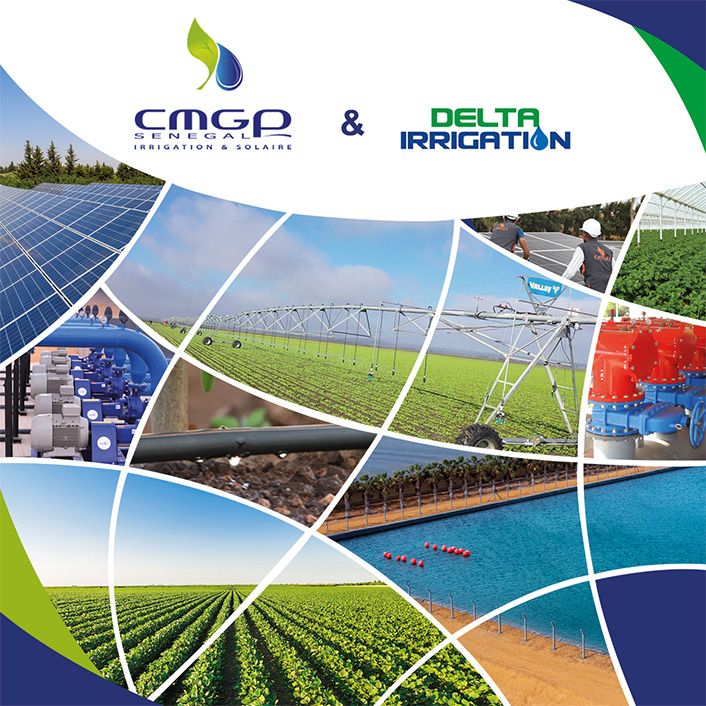 CMGP SÉNÉGAL ET DELTA IRRIGATION SE RAPPROCHENT - CMGP-CAS
